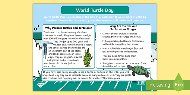 * NEW * World Turtle Day F-2 Fact Sheet