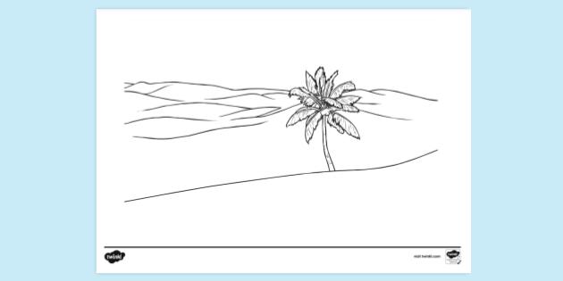 Palm Tree in the Desert at Night Time Colouring Sheets