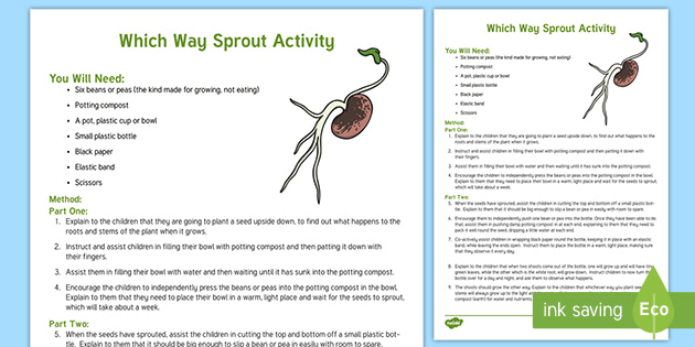 Which Way Sprout Activity - English (teacher made)