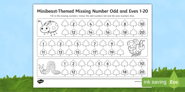 Minibeast-Themed Missing Number Odd and Even 1-20 Activity