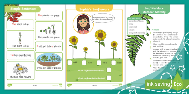 Plant-Themed Activity Booklet (Ages 3 - 5) (teacher made)