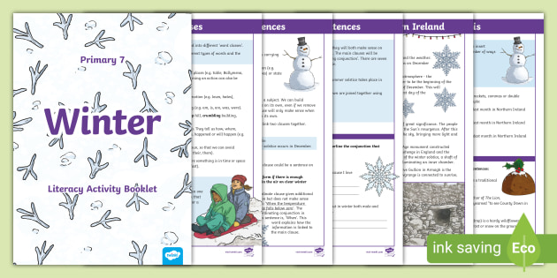 Winter Literacy Activity Booklet Primary 7 (teacher made)