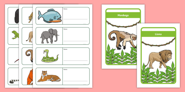 Jungle And Rainforest Label Tags And IKEA Tolsby/Fiestad Frame