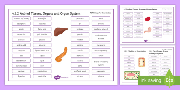 AQA Biology Unit 2 Organisation Word Mat (teacher made)