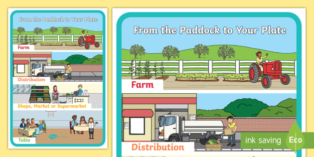 Paddock to Plate Display Poster (teacher made)
