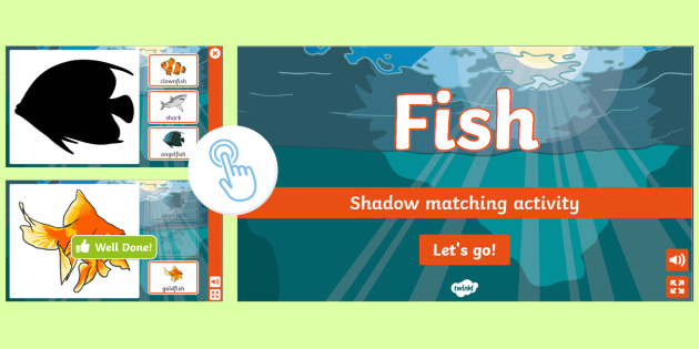 Fish Shadow Matching Activity (teacher made)