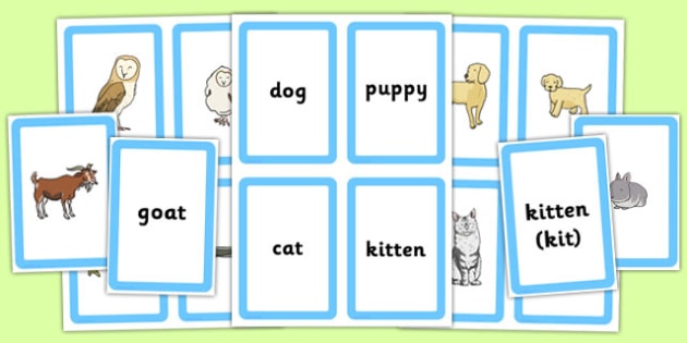 Animals and Their Young Matching Picture and Word Cards