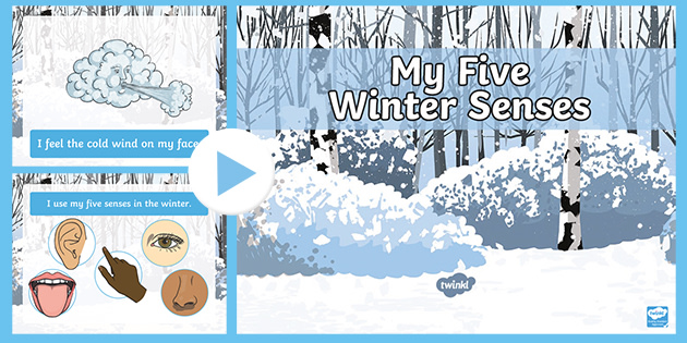 My Five Winter Senses PowerPoint (teacher made)