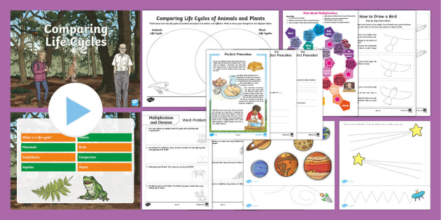 FREE! - Year 3 Term 4 Week 5 Remote Home Learning Pack