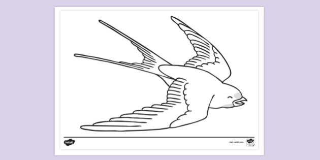 FREE! - Realistic Bird Colouring Sheet | Colouring Sheets