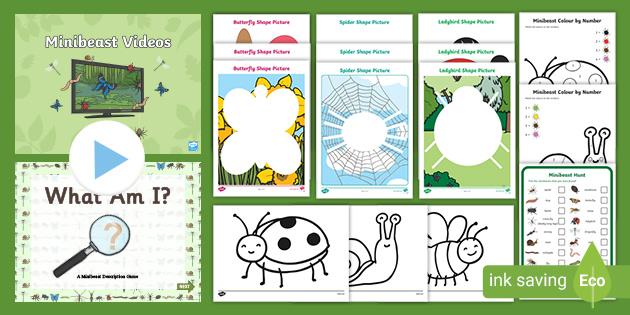 Cool Activities Senior Infants Minibeasts