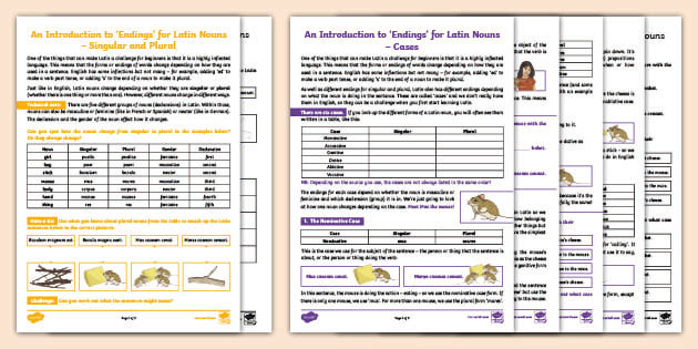👉 An Introduction to 'Endings' for Latin Nouns Pack
