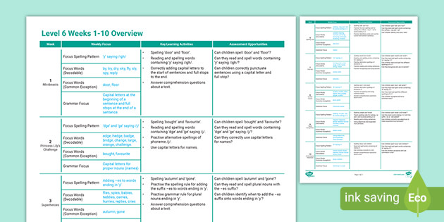 Level 6 Weeks 1-10 Overview Plan (teacher made)
