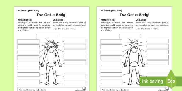 I've Got a Body! Worksheet / Worksheet (teacher made)