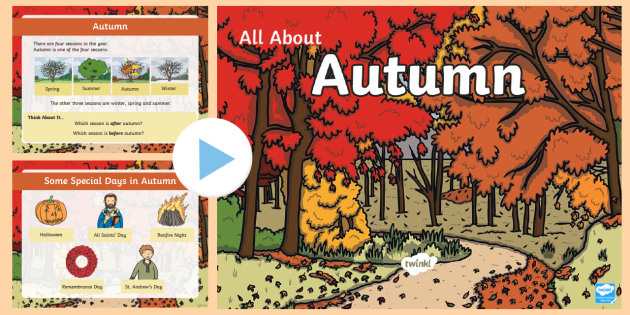 EYFS All About Autumn Information PowerPoint (teacher made)