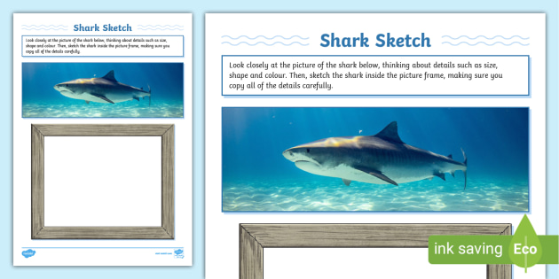 * NEW * Shark Sketching Activity (teacher made)