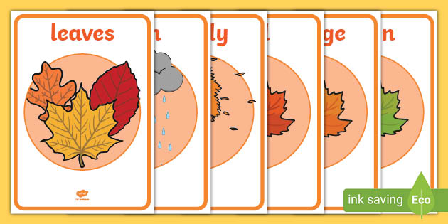 Autumn Display Posters (teacher made)