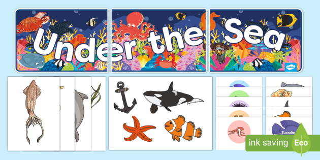 Sea Life Display Pack - KS1 - EYFS - Under the Sea - Twinkl