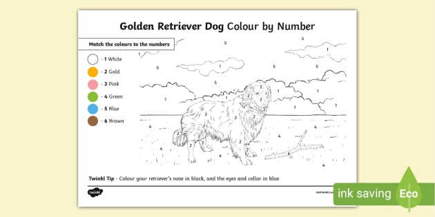 FREE! - Golden Retriever Dog Colour By Number (teacher made)