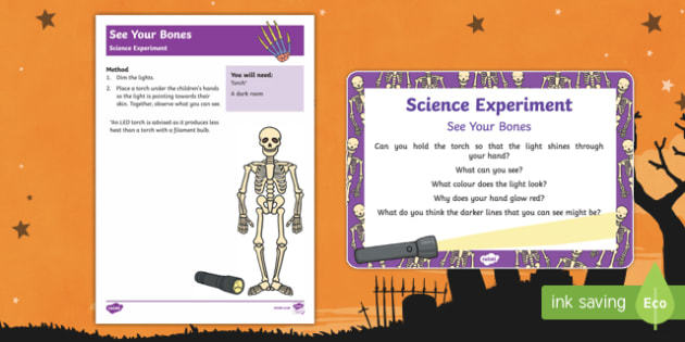 EYFS See Your Bones Science Experiment and Prompt Card Pack