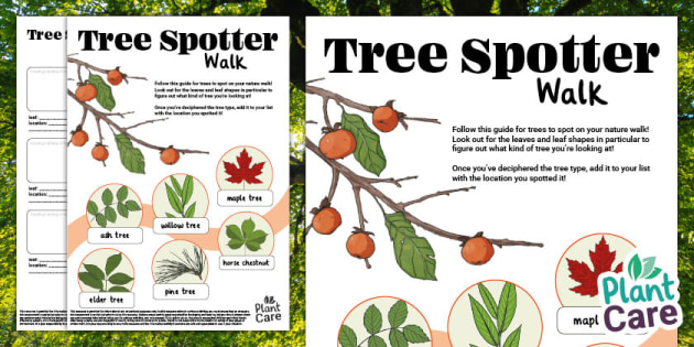 Tree Spotter Walk Activity with Tracker (teacher made)