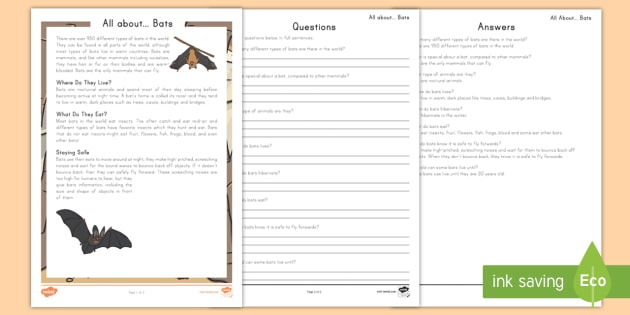 All About Bats Fact File Worksheet / Activity Sheet - Bats
