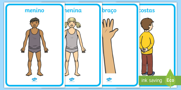 Partes do corpo, cartazes (teacher made)
