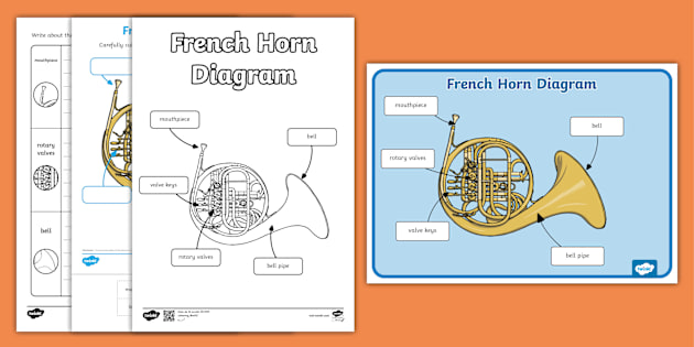 French Horn Labelled Diagram