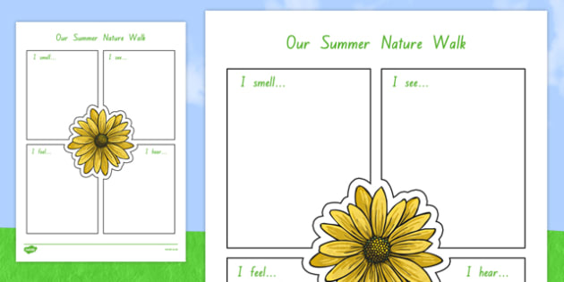 Our Summer Nature Walk Writing Frame (teacher made)