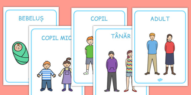 👉 Creșterea și dezvoltarea umană - Planșe