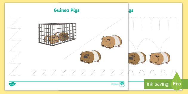 Guinea Pig Themed Pencil Control Worksheet / Worksheets