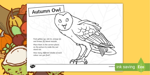 Autumn Owl Outdoor Activity Sheet | CfE Resources | Twinkl