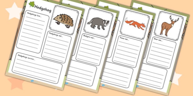 Woodland Animals Factfile Worksheet - Woodland, Wood, Animals