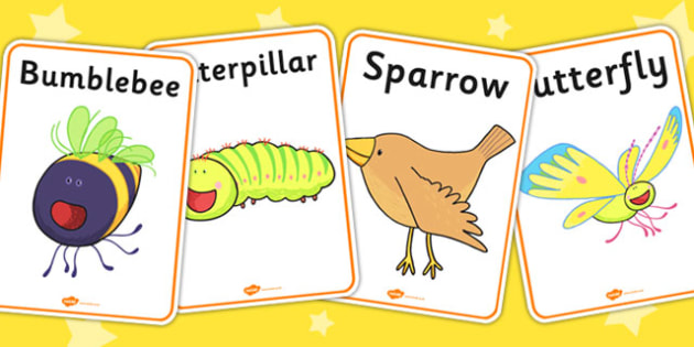 FREE! - Display Posters to Support Teaching on The Crunching Munching