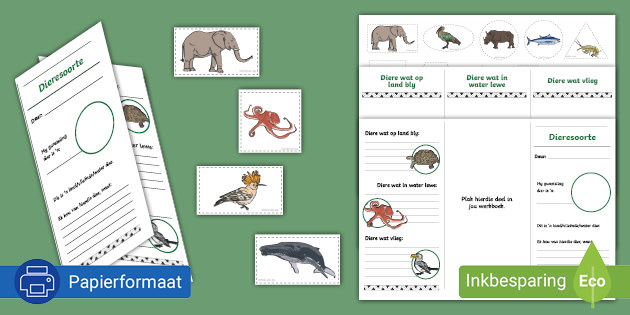 Diere Soorte Pamflet Aktiwiteit (teacher made)