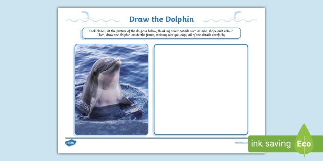 * NEW * Draw the Dolphin Art Activity (teacher made)