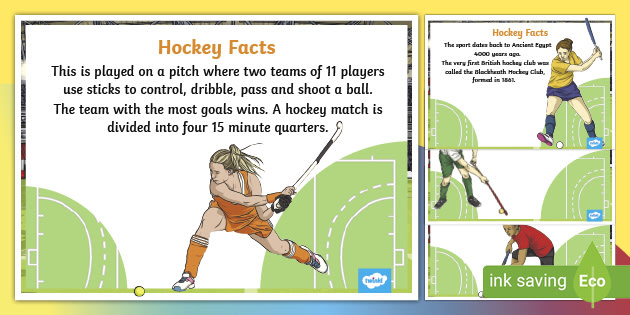 Hockey Display Facts (Teacher-Made)
