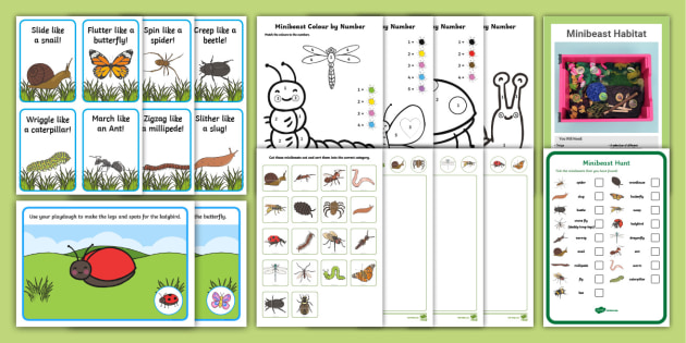EYFS Minibeasts Resource Pack (Ages 3-5) (teacher made)