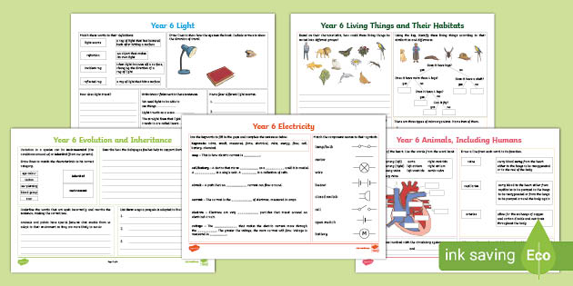 Year 6 Science Revision Activity Mat Pack (teacher made)