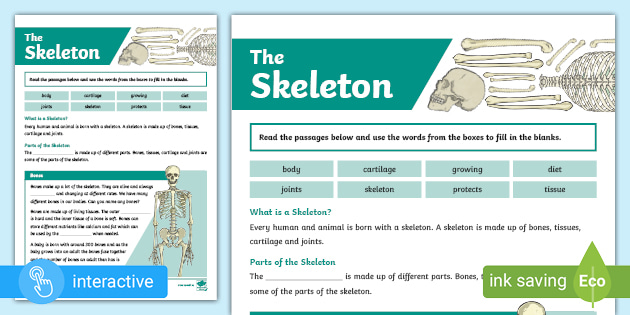 The Skeleton Cloze Procedure (teacher made)