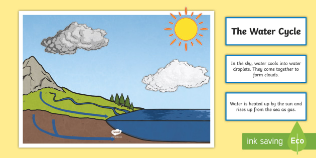 Water Cycle Poster