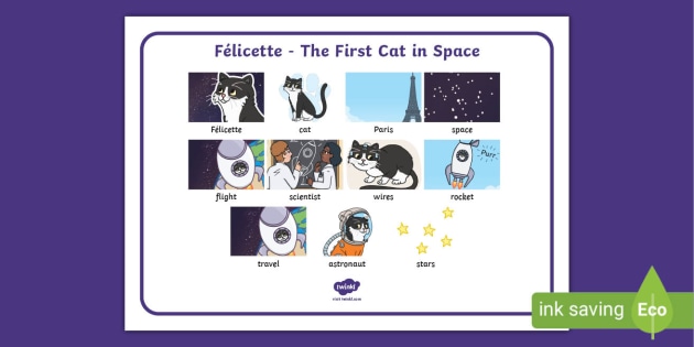 Félicette - The First Cat in Space Word Mat