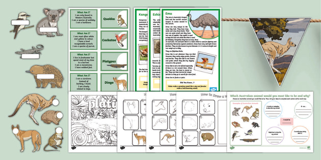 Native Australian Animals Display and Activity Pack