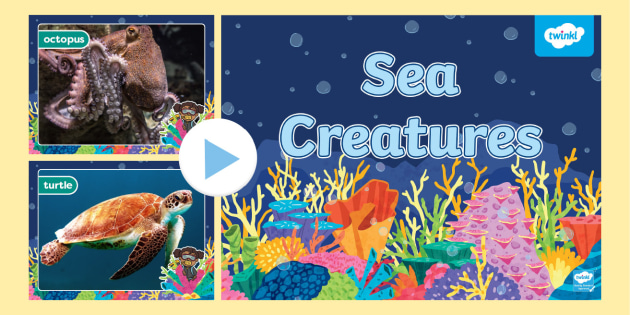 Sea Creatures Photo PowerPoint (teacher made)