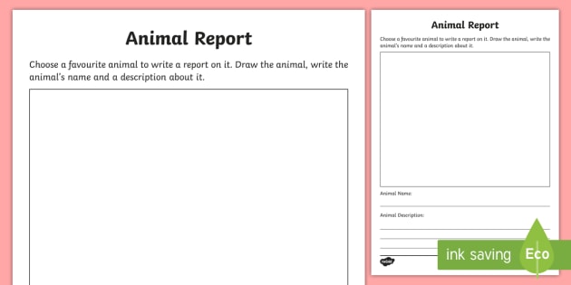 Animal Report F-2 Worksheet (teacher made)