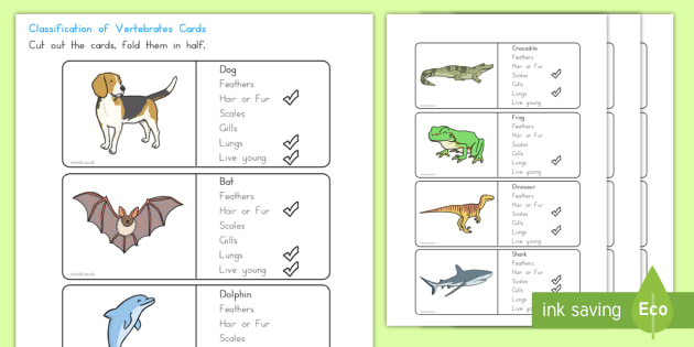 Classification of Vertebrates Cards - australia, classification ...