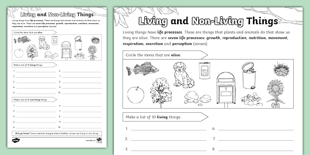 What Are 10 Non Living Things