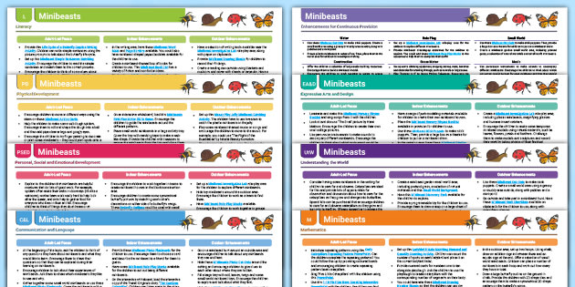 EYFS Minibeasts Activity Planning and Continuous Provision Ideas ...