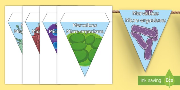 Marvellous Micro-organisms Display Bunting (teacher made)