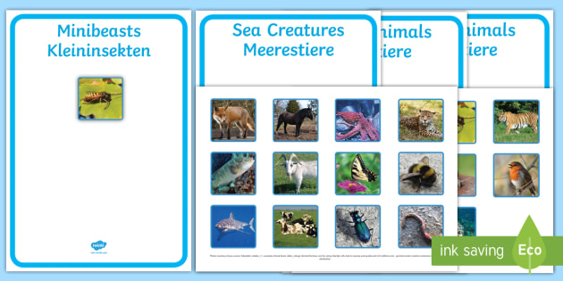 Photo Sea Creatures, Farm Animals, Wild Animals and Minibeasts Sorting